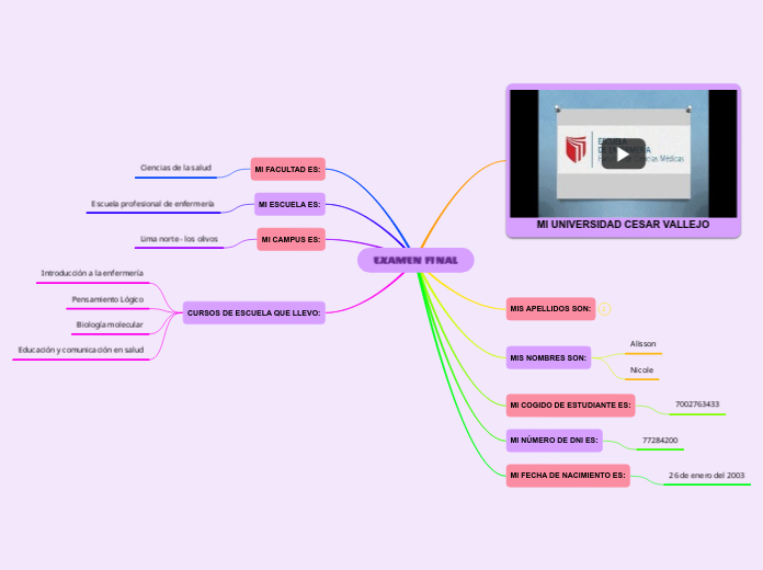 PROYECTO 2 (EXAMEN FINAL) - Mind Map